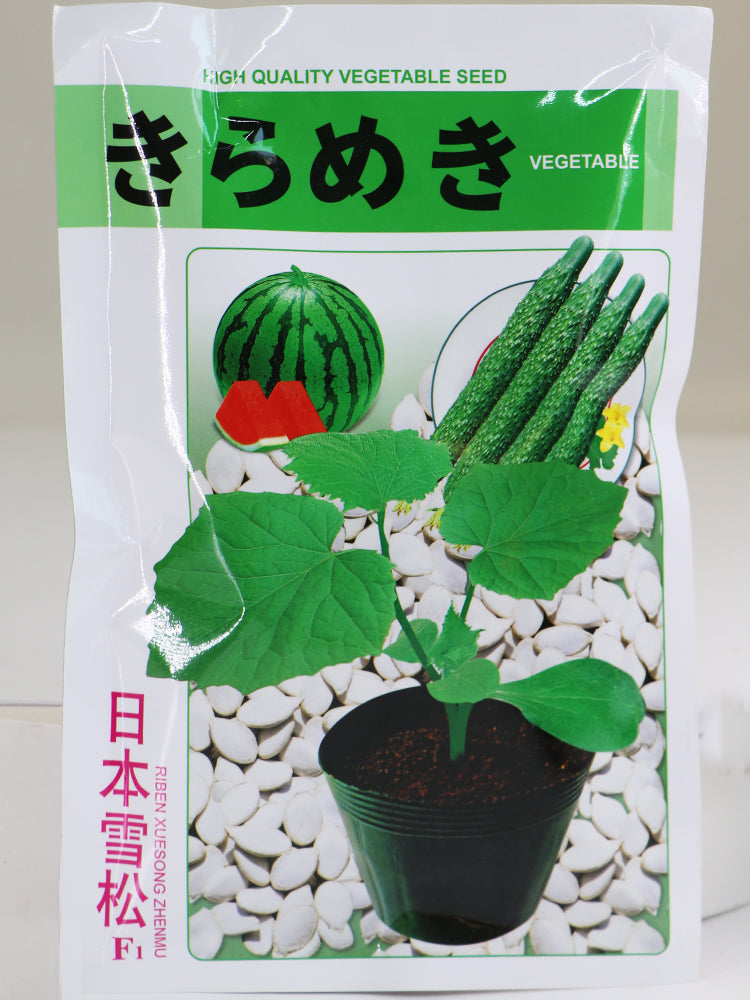 150g Japan Rootstock White Pumpkin Seeds for Grafting Cucumbers, Wate – MUCIAKIE