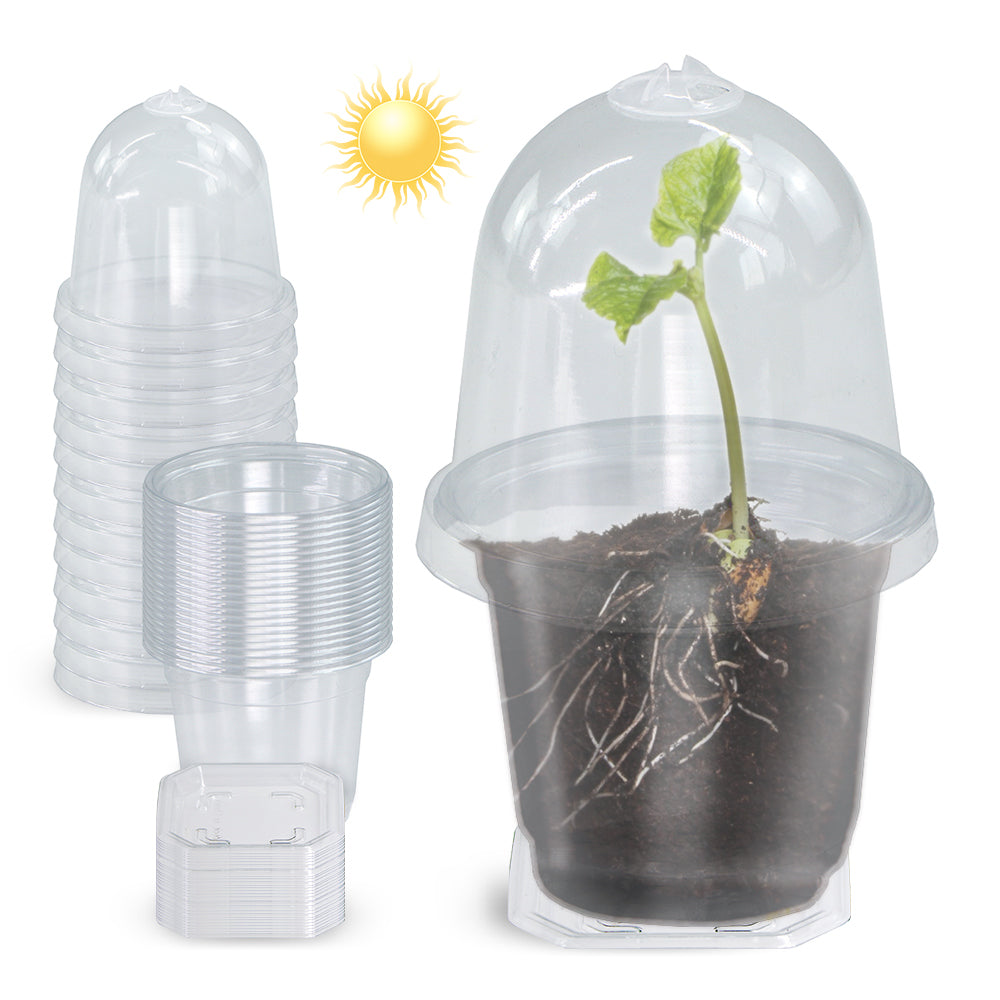 160x90MM Plant Nursery Pot Transparent Pastic PET Seed Stater Cups wi ...