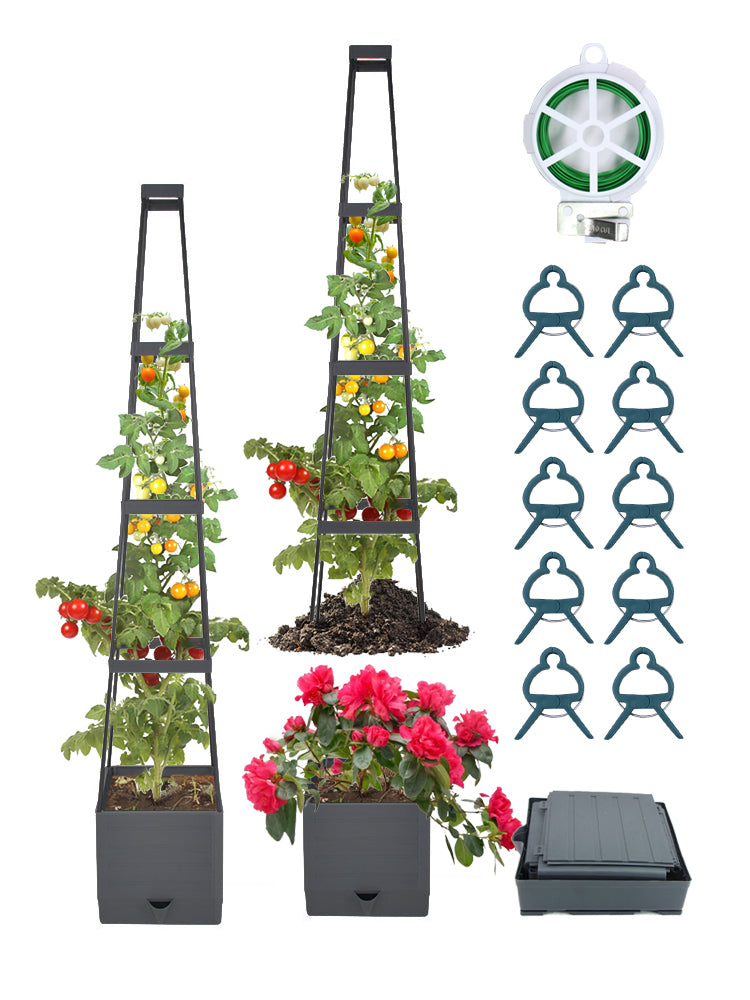 Muciakie® N242 Tomato Planter Boxes with Trellis – MUCIAKIE