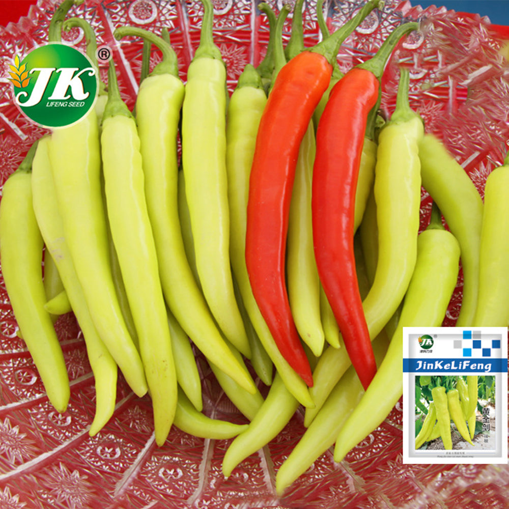 5 Bags (100 Seeds / Bag) of 'Golden Sword' Peppers – MUCIAKIE