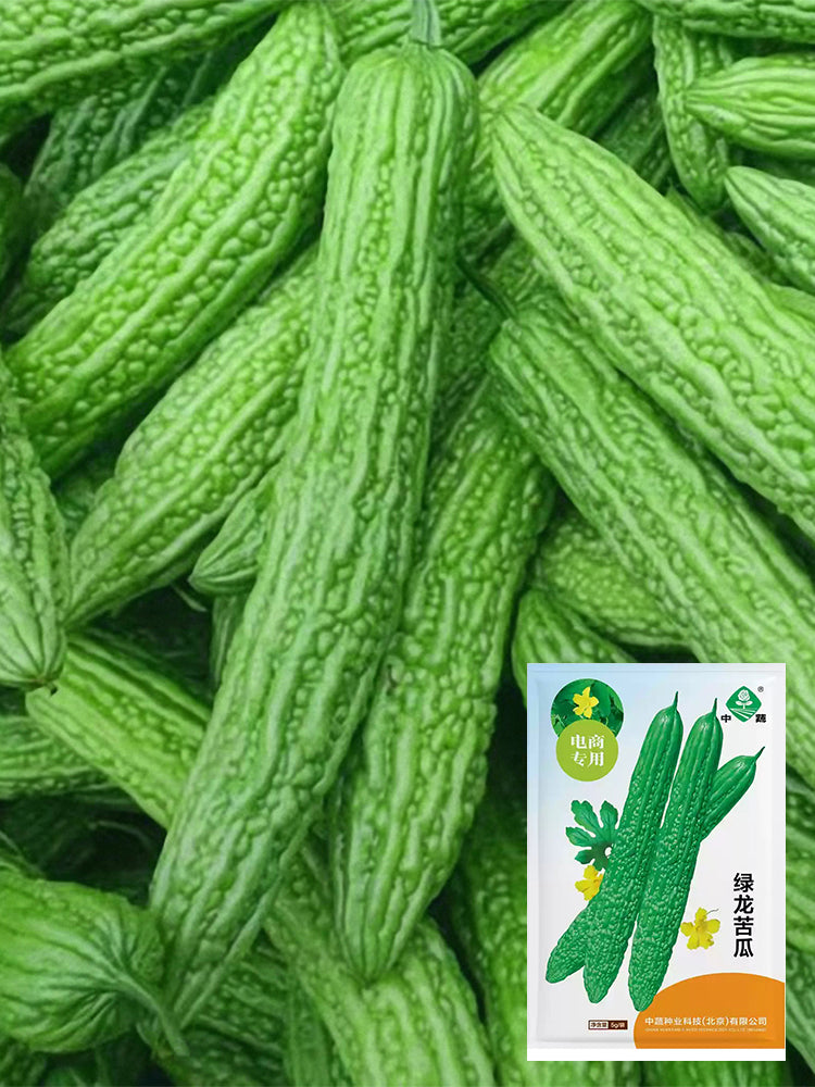 Bellfarm® Green Dragon Bitter Melon Seeds – MUCIAKIE