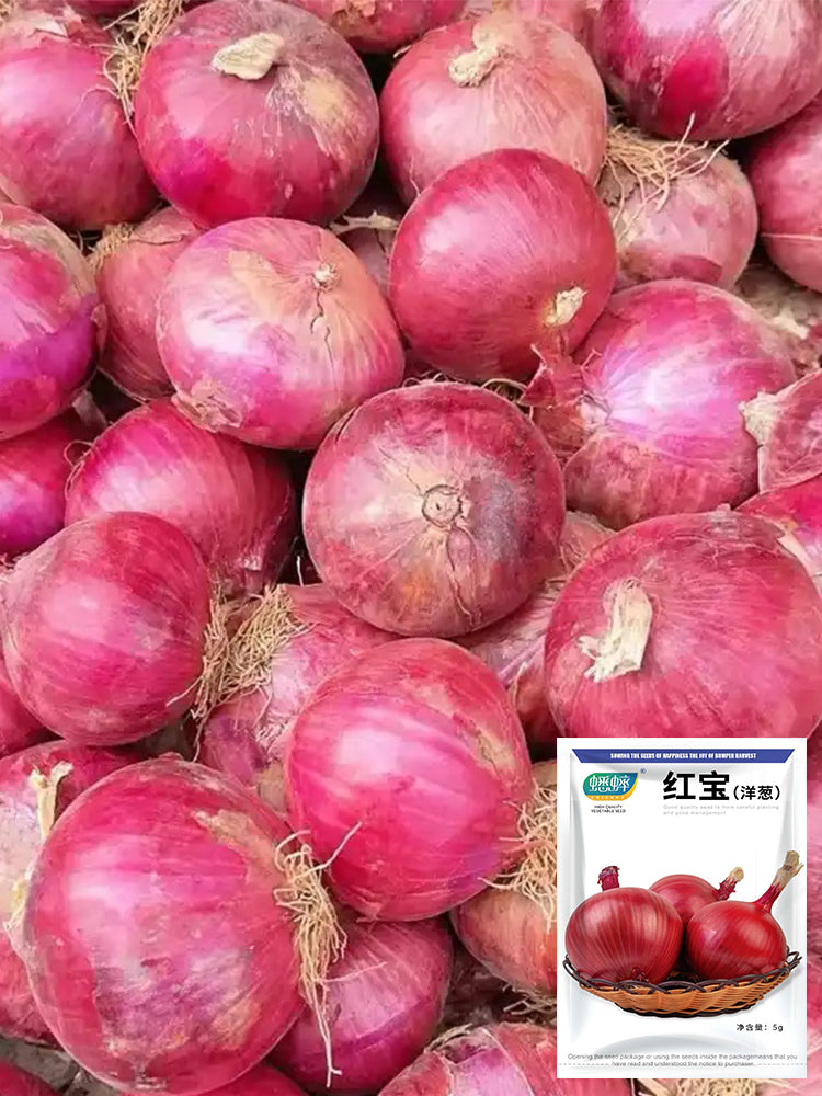Bellfarm® Imperial Ruby' Red Onion Seeds – MUCIAKIE