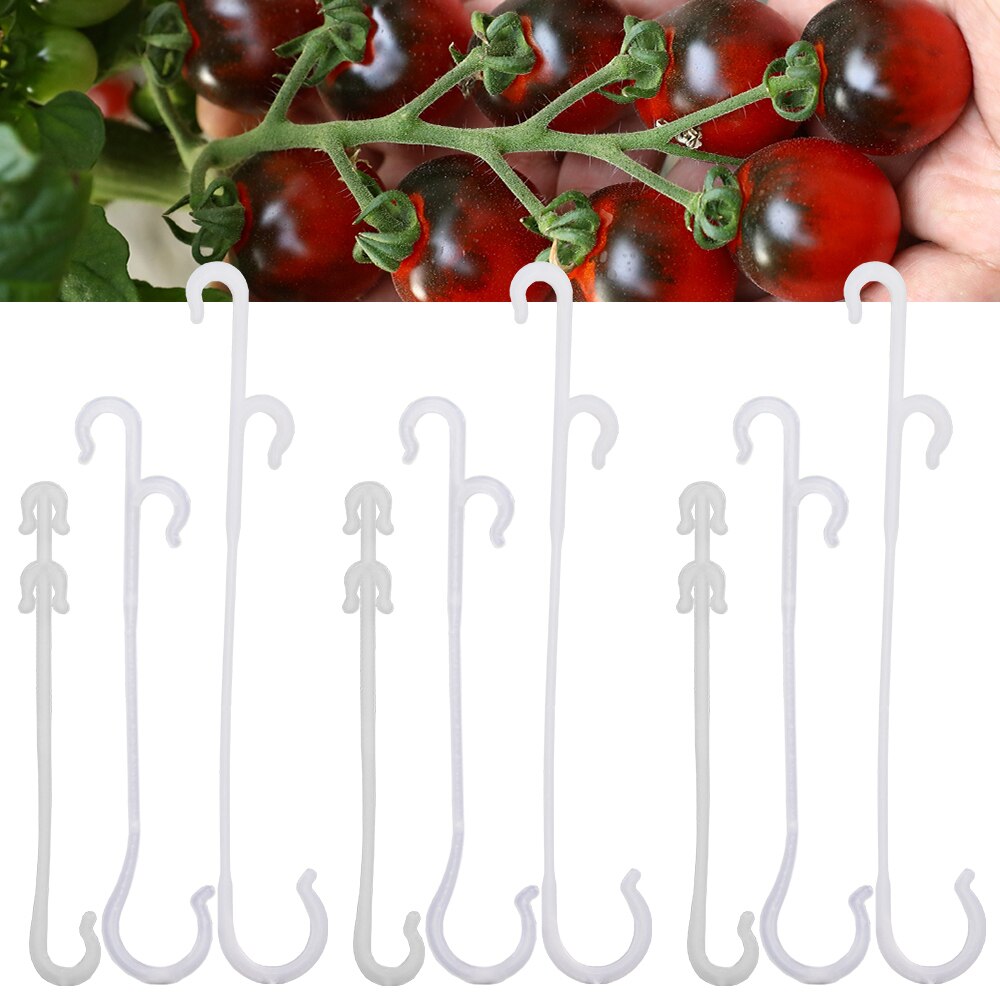 Muciakie® N232 Fruit Hanging Hooks – MUCIAKIE