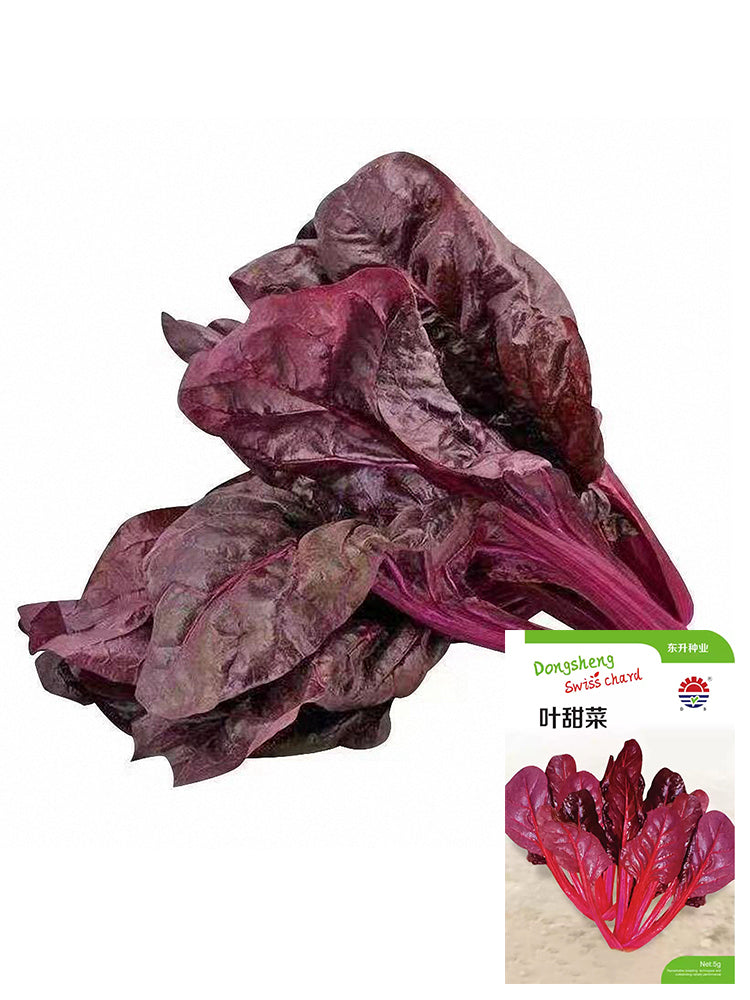 Bellfarm® Red-Leaf Chard Seeds – MUCIAKIE