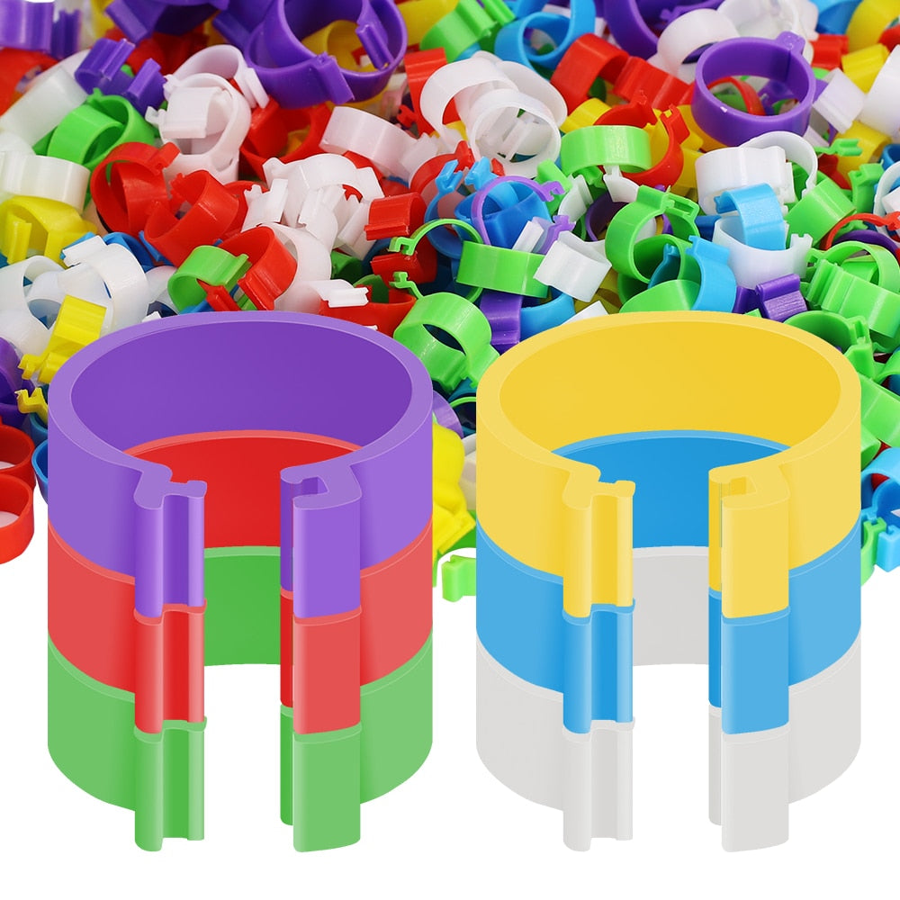60PCS 6 Colors Chicken Duck Leg Rings Goose Animal Identification Too ...