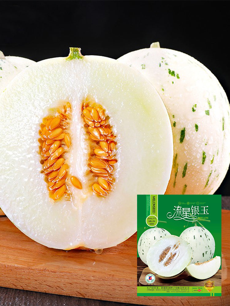 Bellfarm® Meteor Silver Jade Melon Seeds – MUCIAKIE
