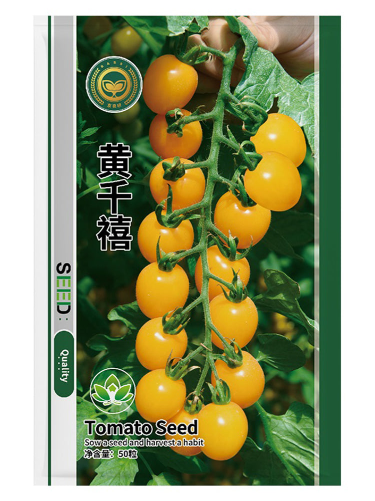 Bellfarm® Yellow Millennium Cherry Tomato Seeds – MUCIAKIE
