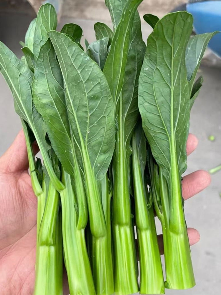 Bellfarm® Meiqi No.2 Sweet Choy Sum Seeds – MUCIAKIE