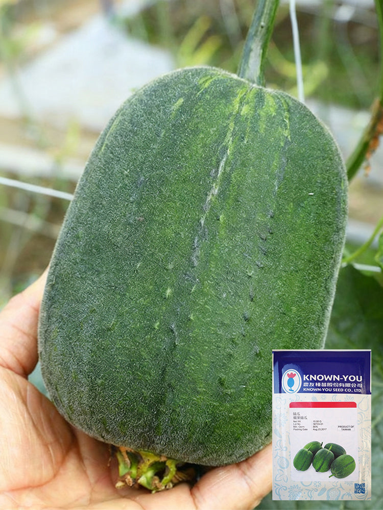 Bellfarm® Taiwan Apple Luffa Seeds – MUCIAKIE
