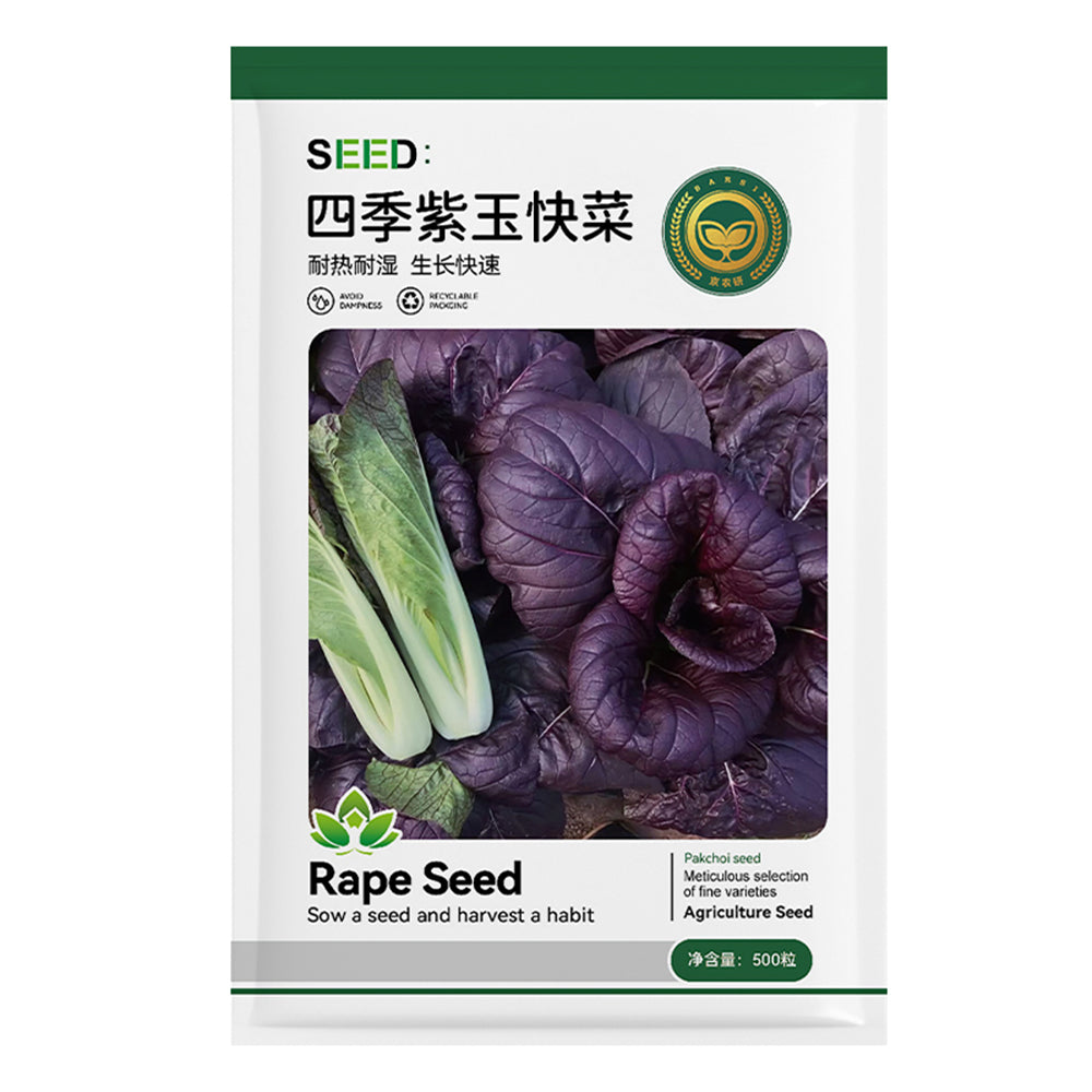 Jingyan® Purple Pak Choi Rape Seeds – MUCIAKIE
